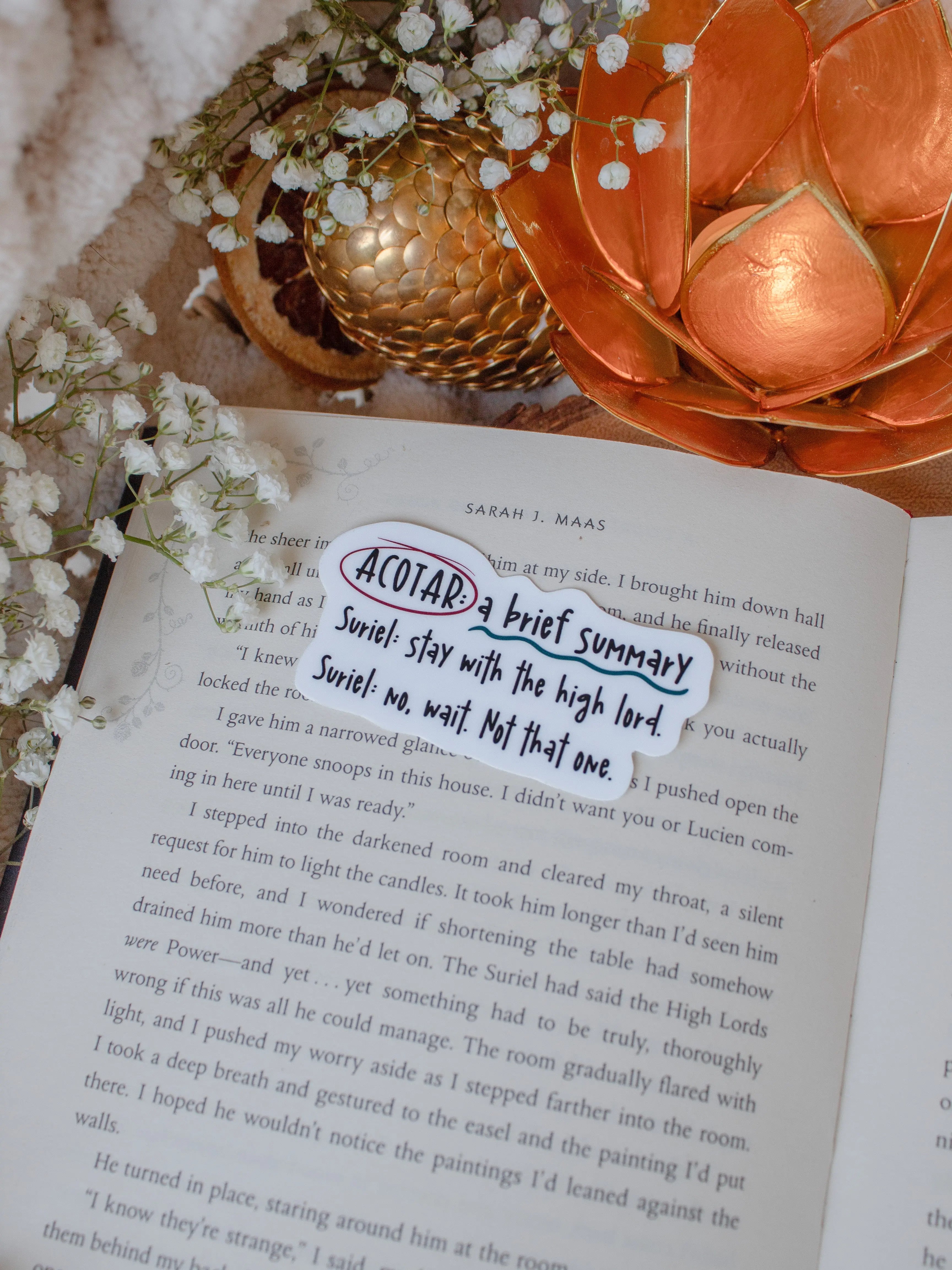 ACOTAR | A Brief Summary with the Suriel Sticker – Meaggie Moos